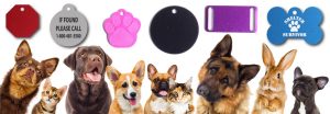 Wholesale Pet Tags Engraved Or Blank - IdentificationTags.com